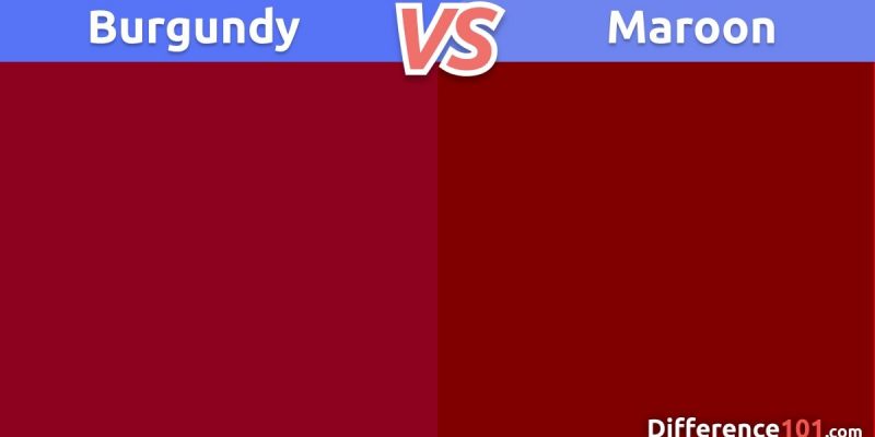 Fashion & Beauty ~ Difference 101